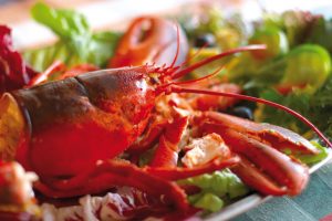 Aktuelles | Neuigkeiten vom Restaurant Triad